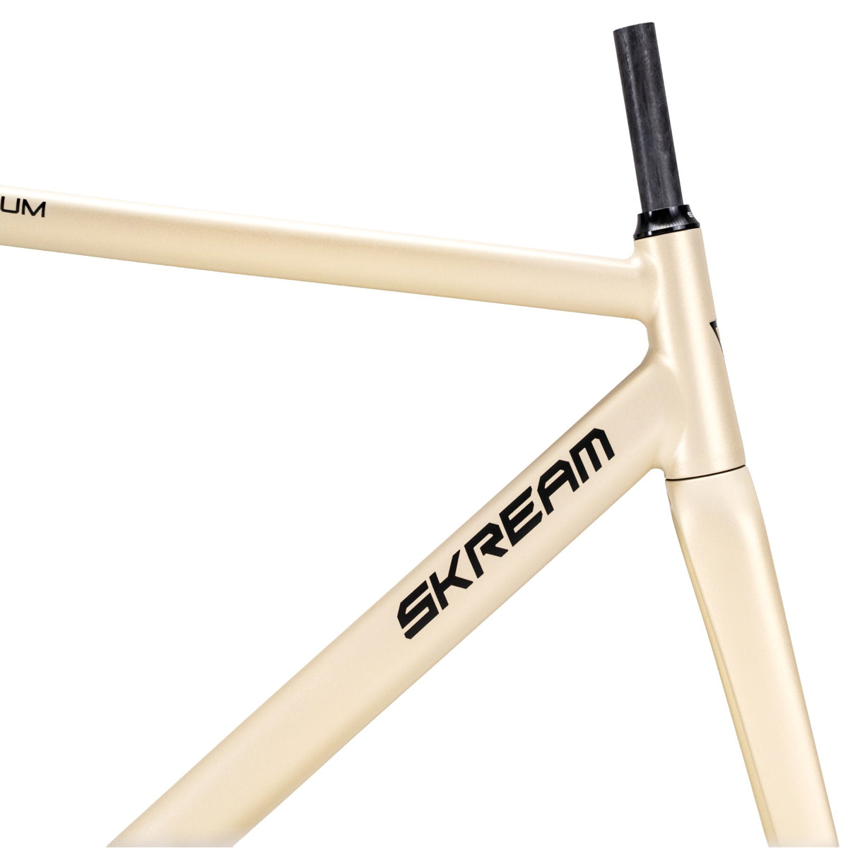 Skream Magnum24 fixed gear track frameset - Dune